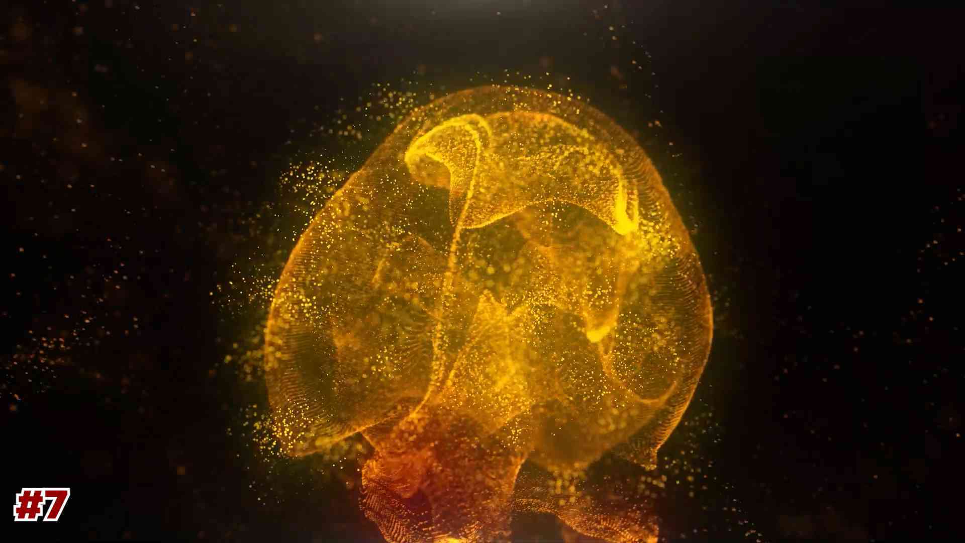 20 Intro Logo No Text Free Download - TRENDSLOGO.COM